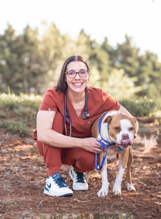 Southpaw Animal Clinic | Madison, AL