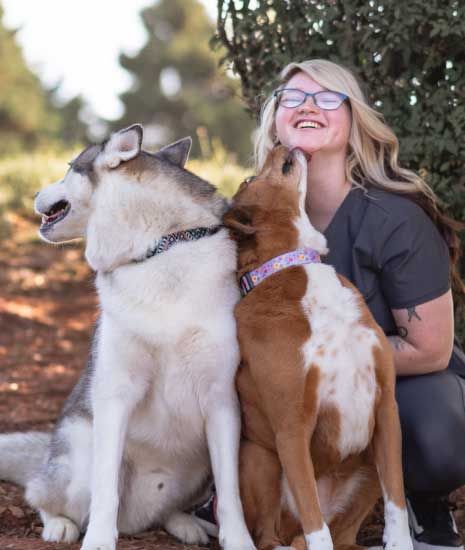 Southpaw Animal Clinic | Madison, AL