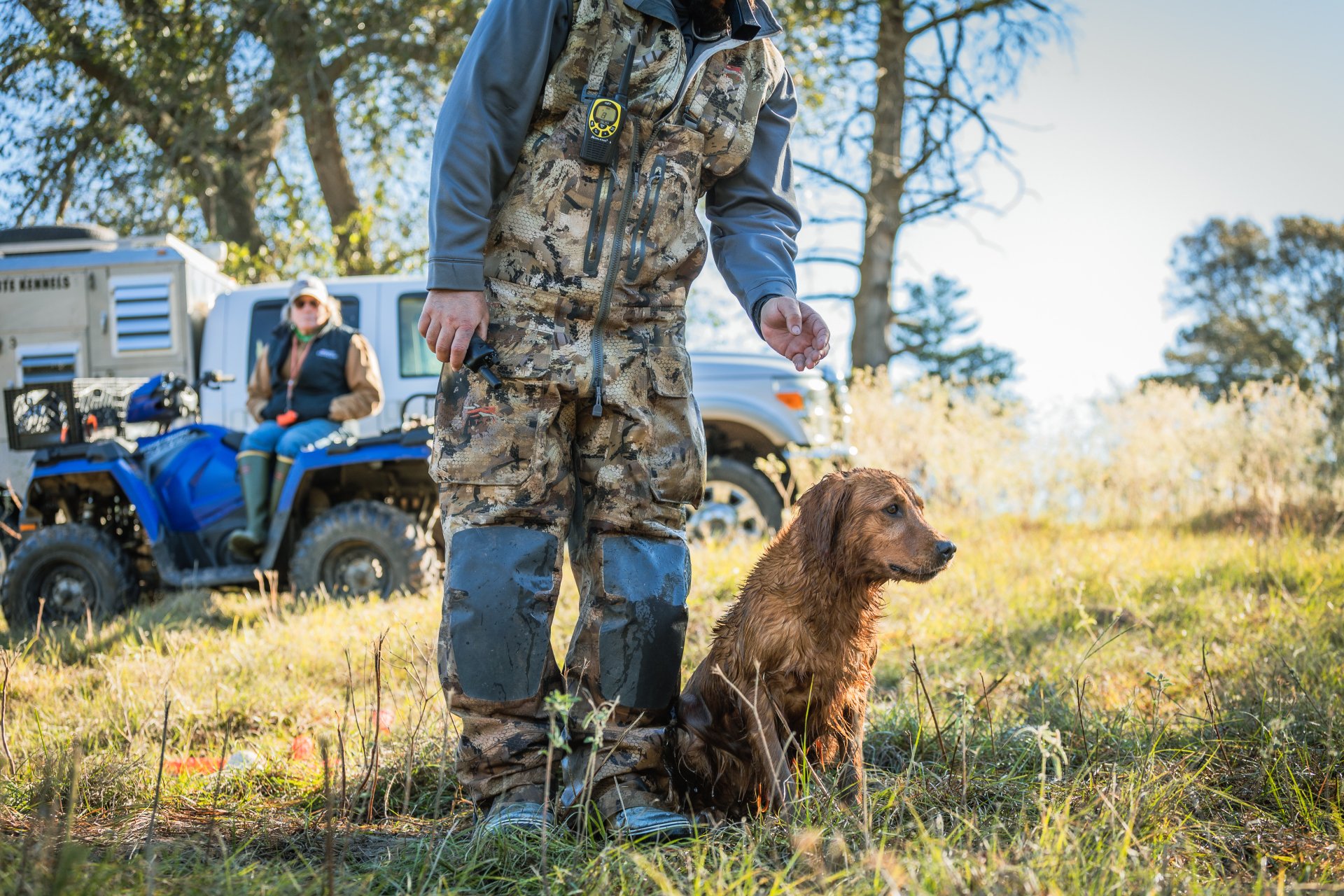 Gun Dog Training | Basic & Advanced Dog Training | Gilmer TX