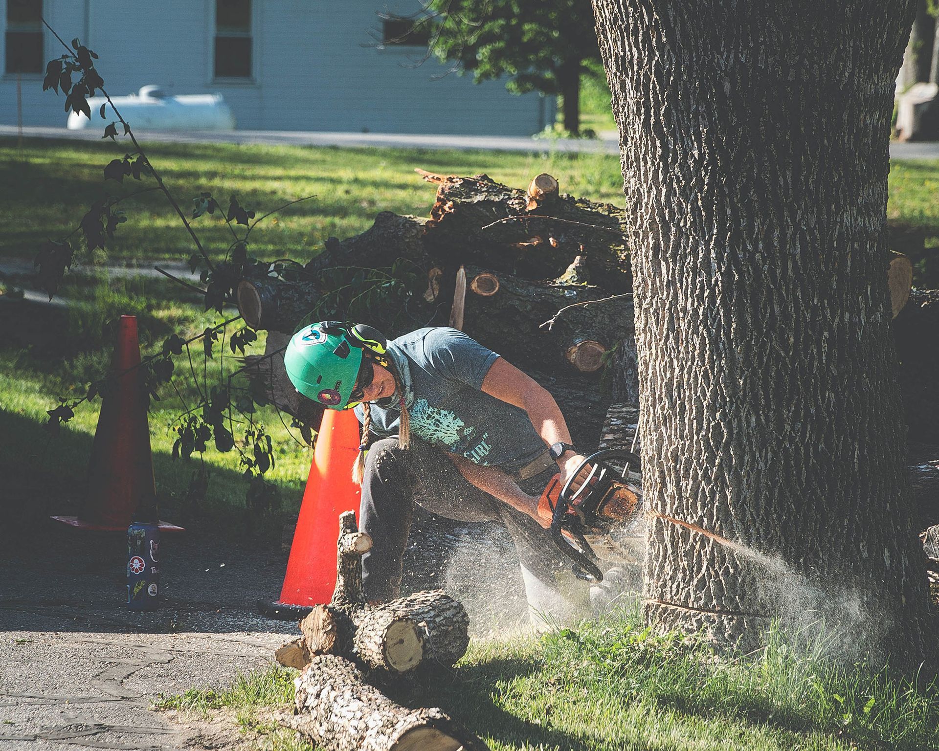 Tree Services | That Girl Tree Care | Cedar Rapids, IA