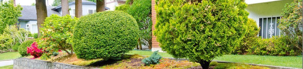 Landscaping | Grand Rapids, MN – Ron-Ex Excavating