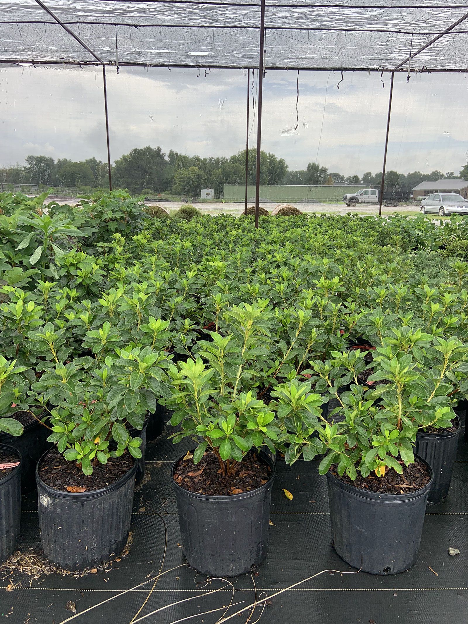 Gallery Grayson Bailey Landscaping & Design | Athens AL