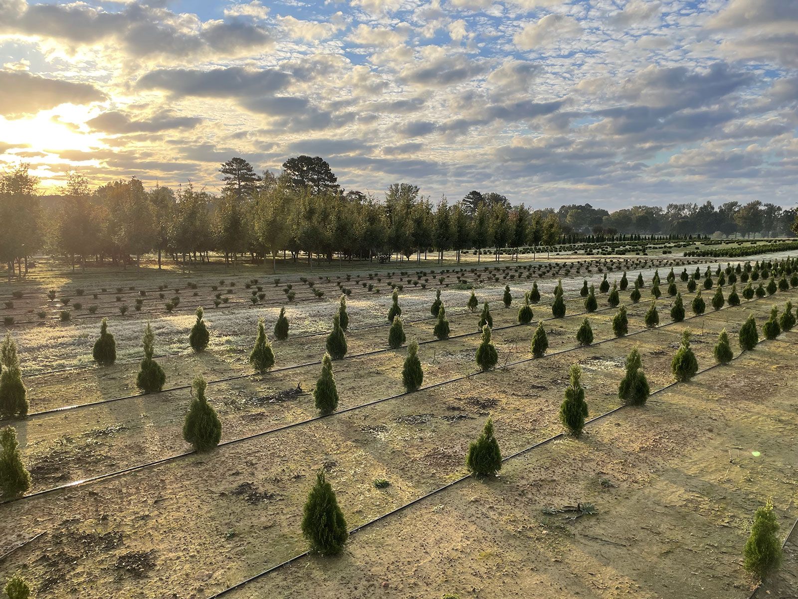 Gallery Grayson Bailey Landscaping & Design | Athens AL