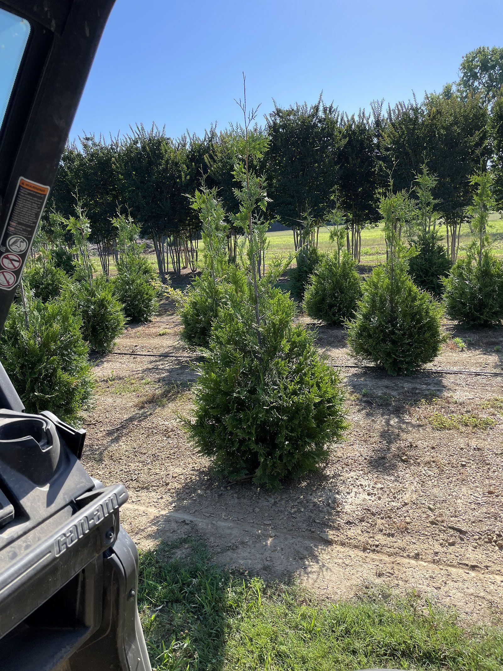 Gallery Grayson Bailey Landscaping & Design | Athens AL