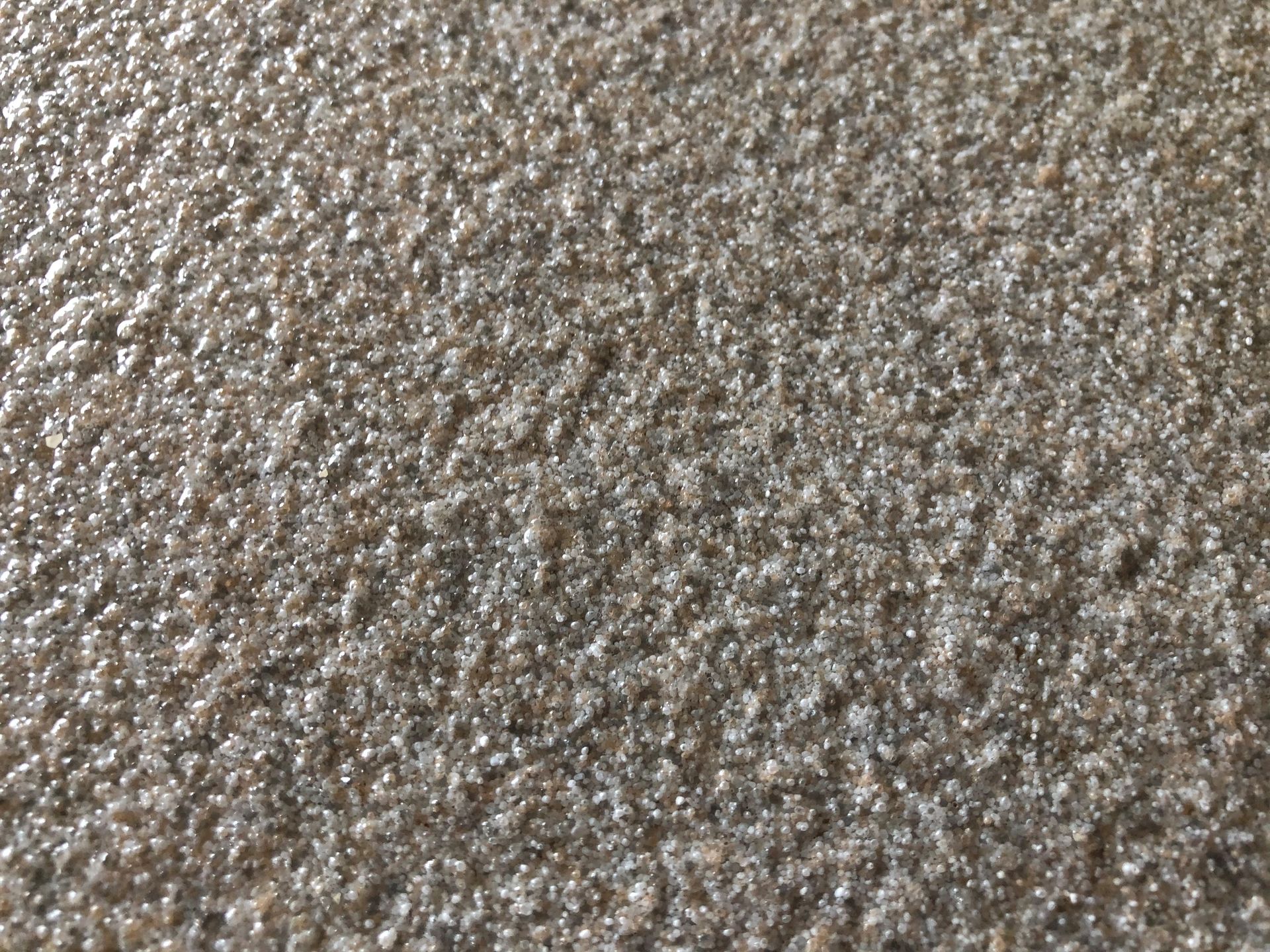 Quartz and Broadcast Sand Concrete Coating | Appleton, WI | Green Bay WI