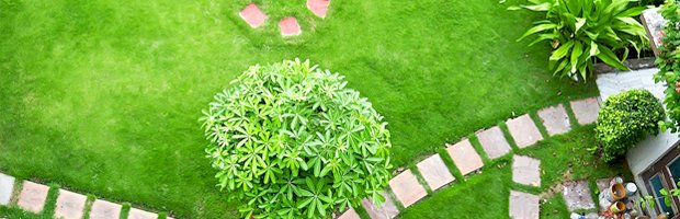 Lawn Maintenance | Mowing | Huntsville, AL