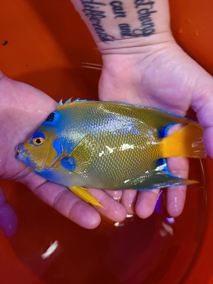 Aquarium Store | Fish Freaks | Omaha, NE