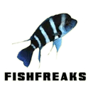 Aquarium Store | Fish Freaks | Omaha, NE