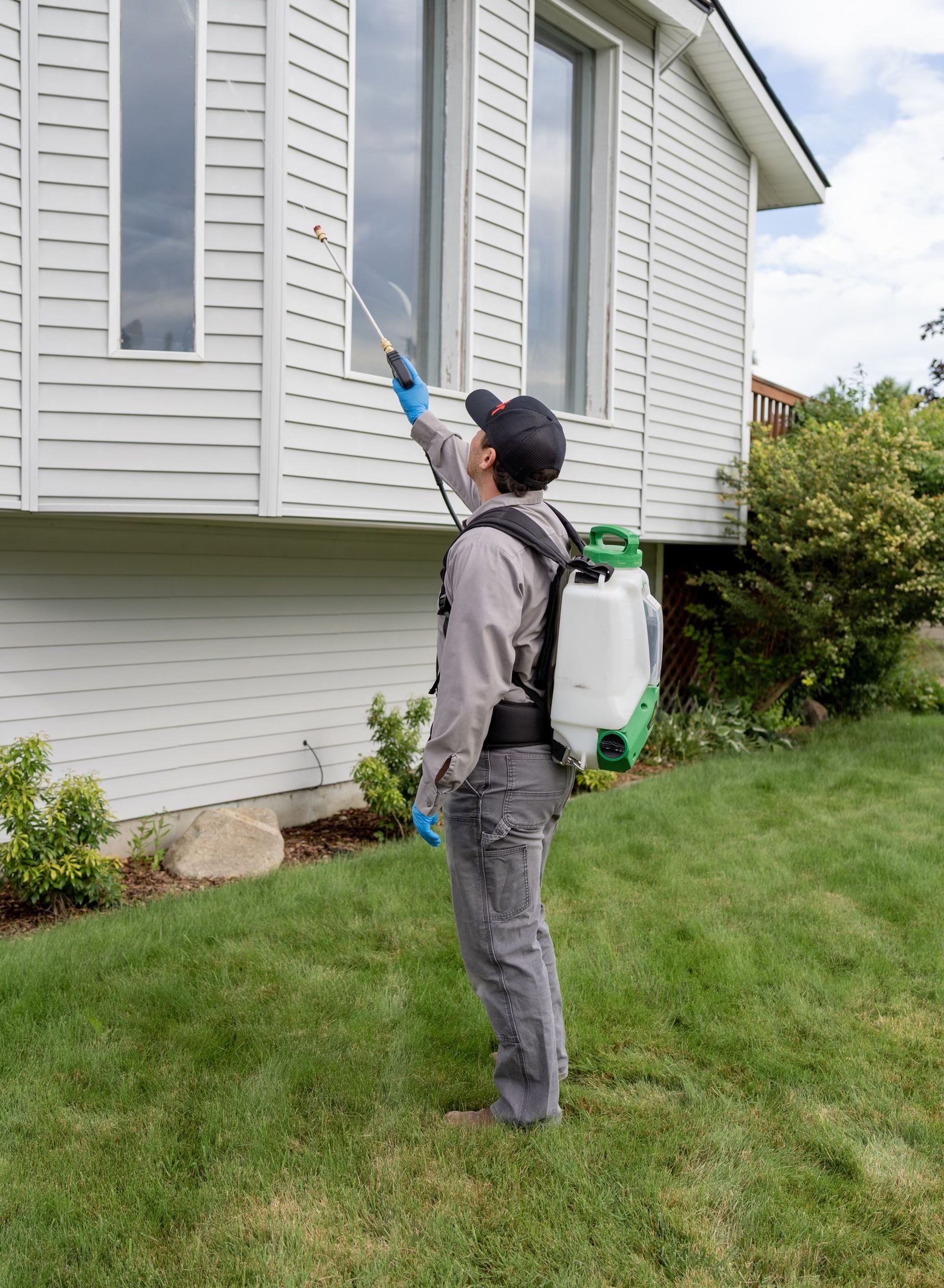 Gallery | Killer Pest Control