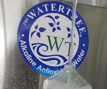 Alkaline Water Refill Station Houston, TX | Water Tree Hwy 6