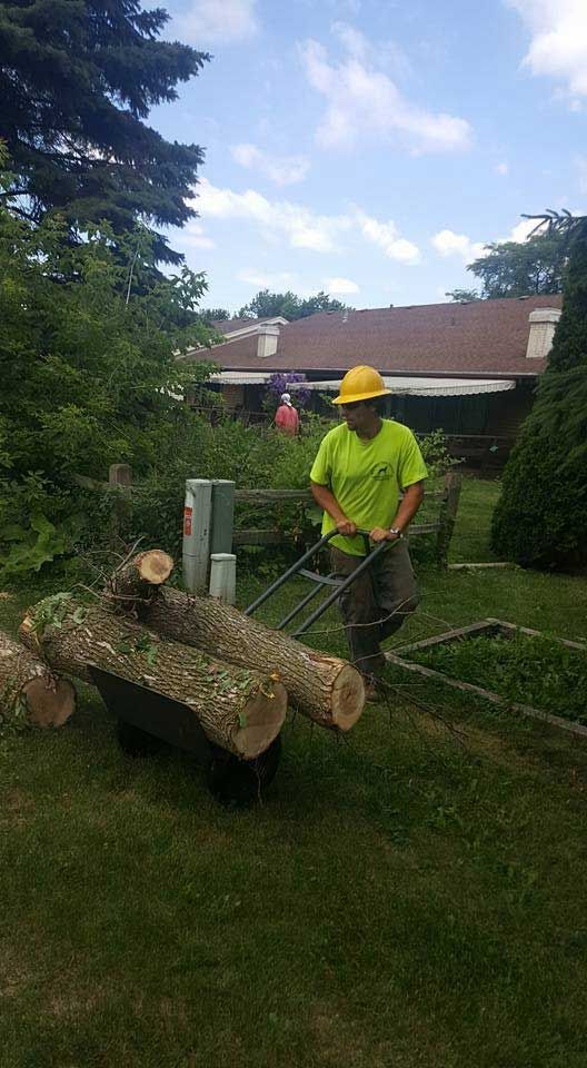 Tree Service | Rockford, IL | Wolf Bros Tree Service