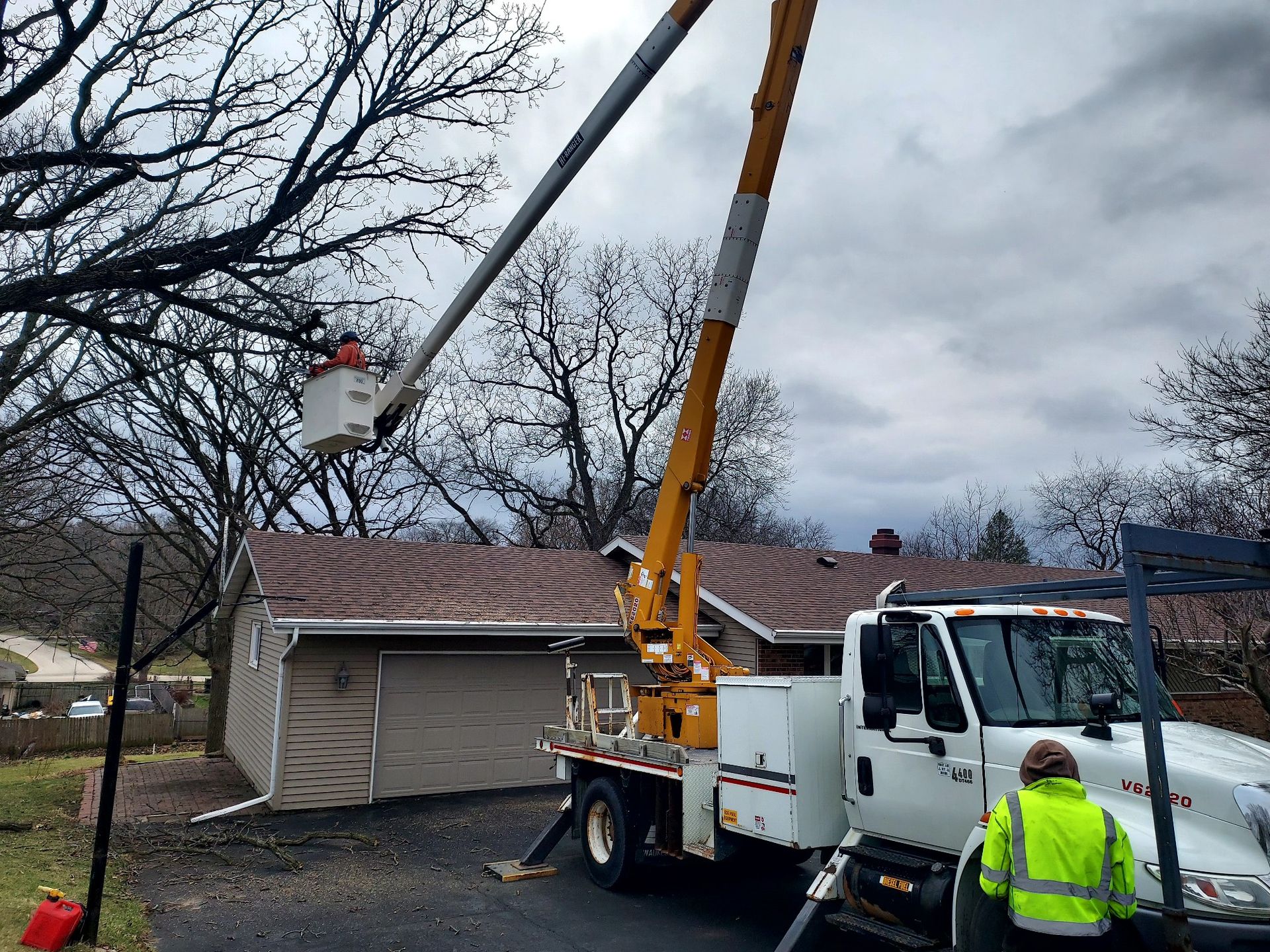 Tree Service | Rockford, IL | Wolf Bros Tree Service