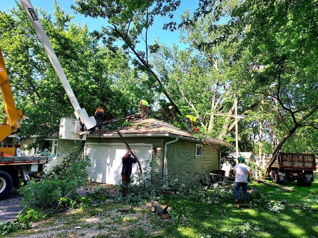 Tree Service | Rockford, IL | Wolf Bros Tree Service