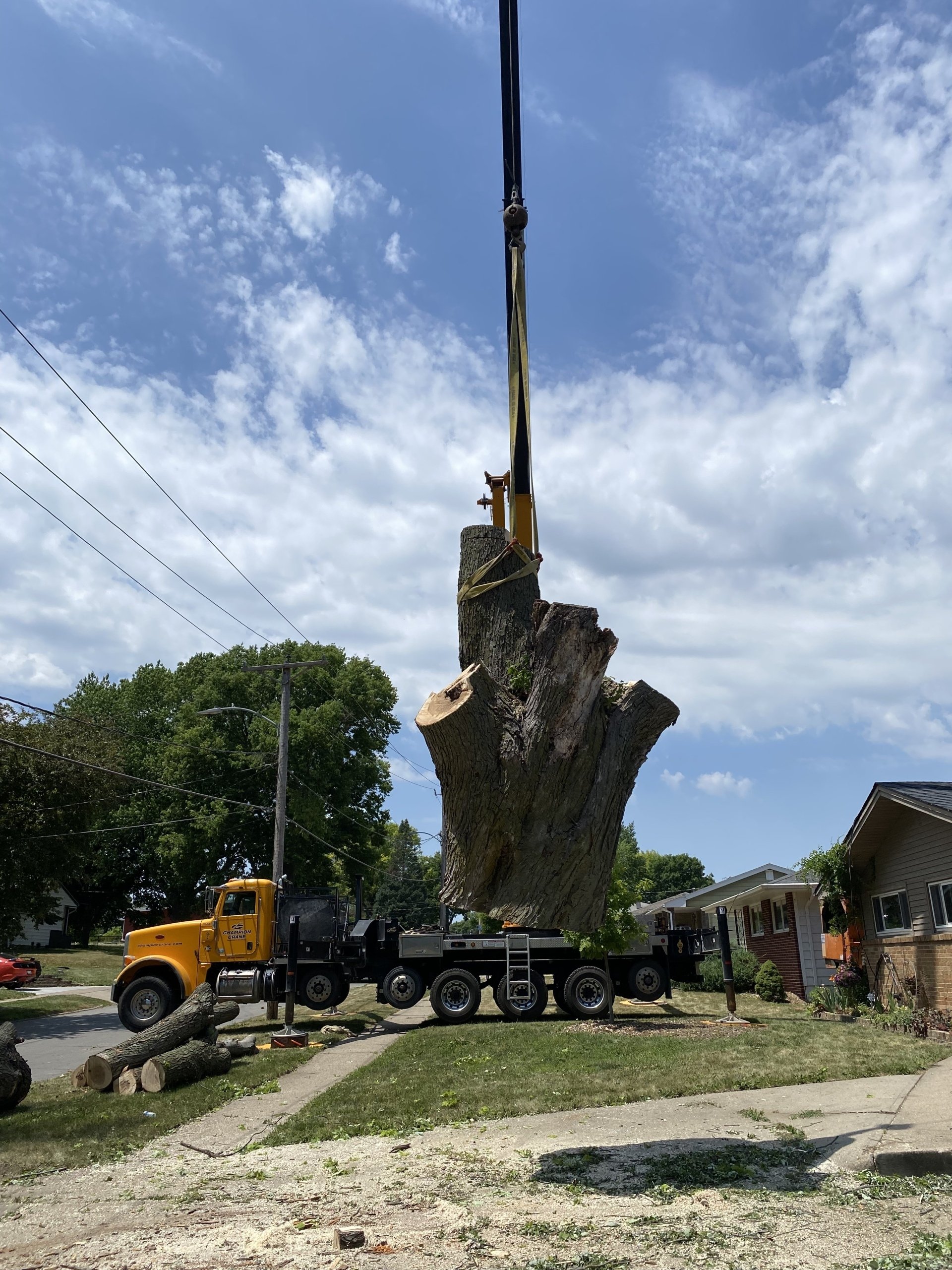 Tree Service Des Moines, IA | Central Tree Pros