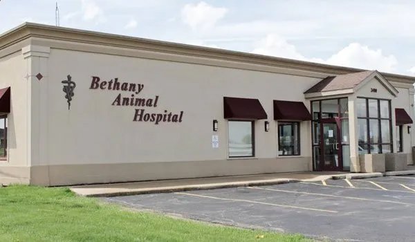 About Us Gallery | Bethany Animal Hospital