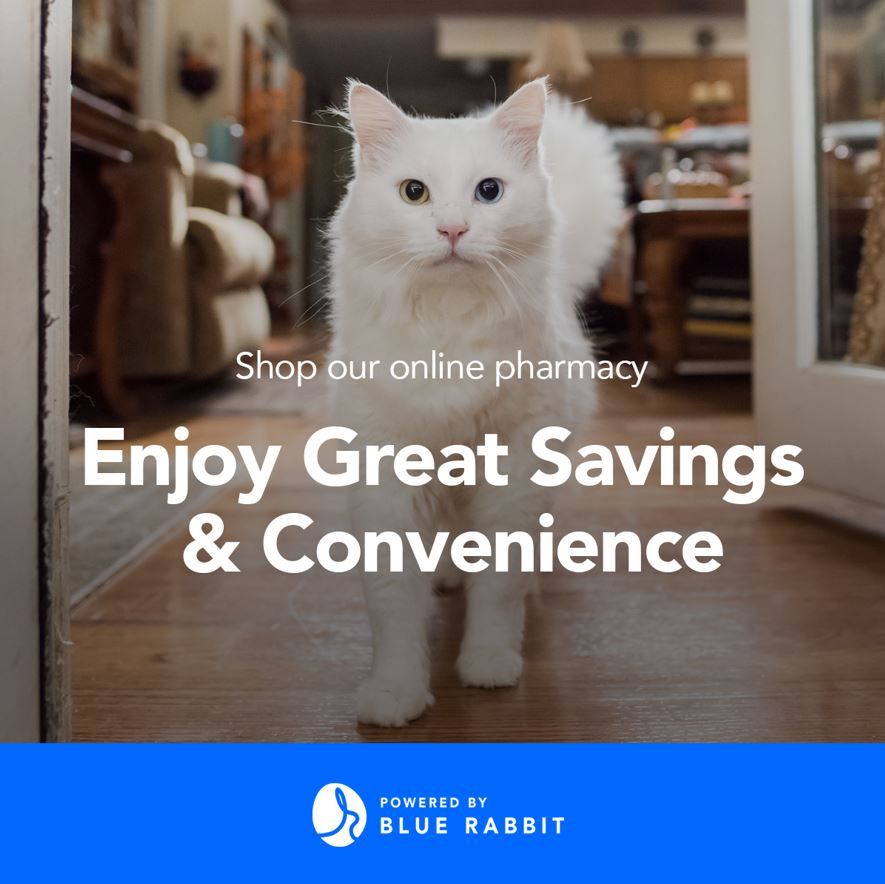 The Benefits and Risks of Online Pharmacies for Pets: Introducing Blue ...