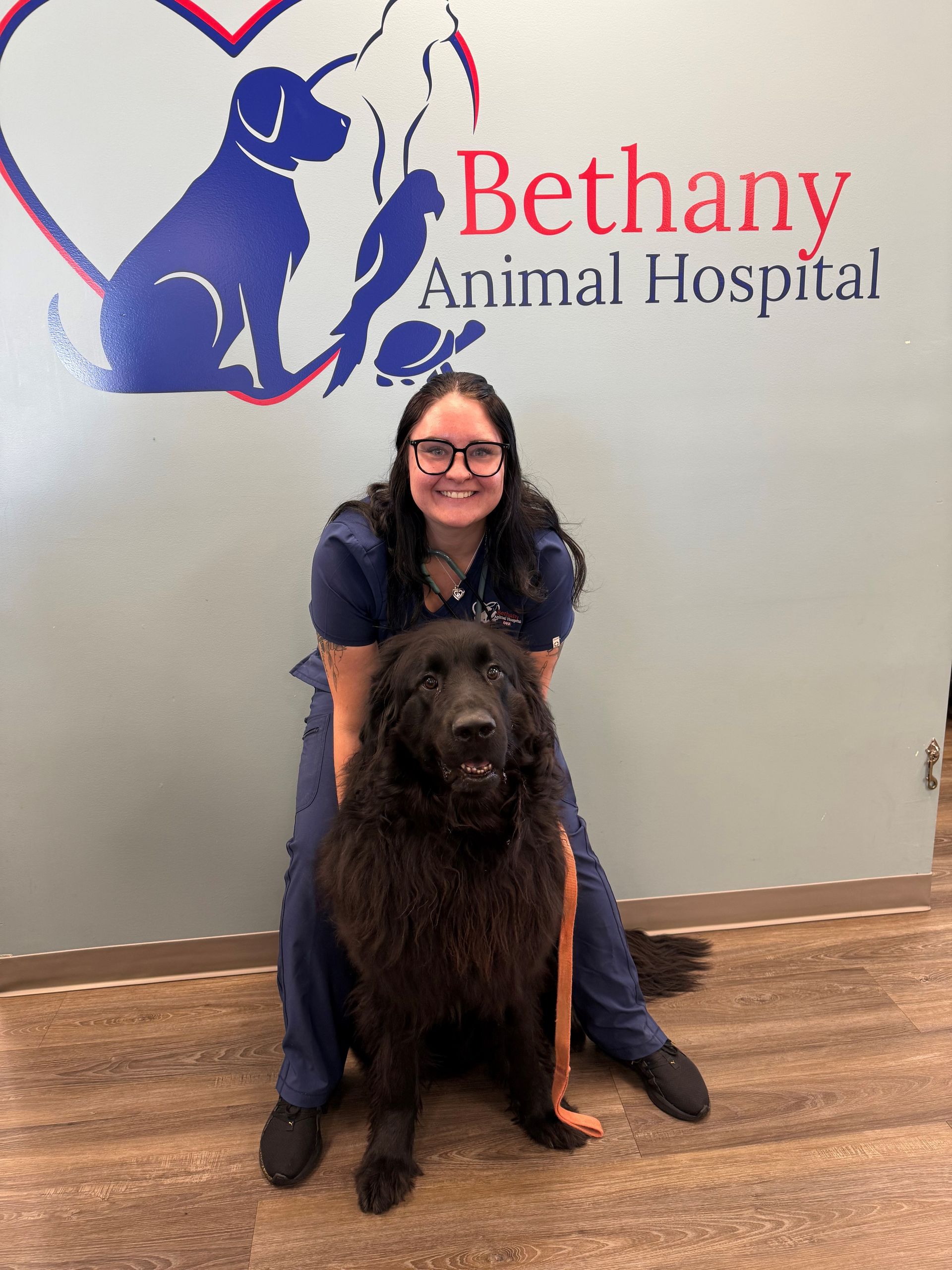Bethany Animal Hospital Team | Sycamore, IL