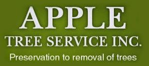 Tree Removal | Apple Tree Service Inc | Glenside, PA
