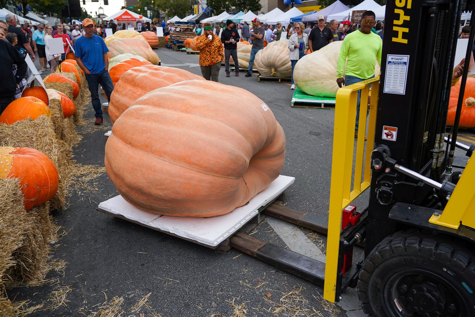 2023 Operation Pumpkin Photo Gallery | Hamilton, OH