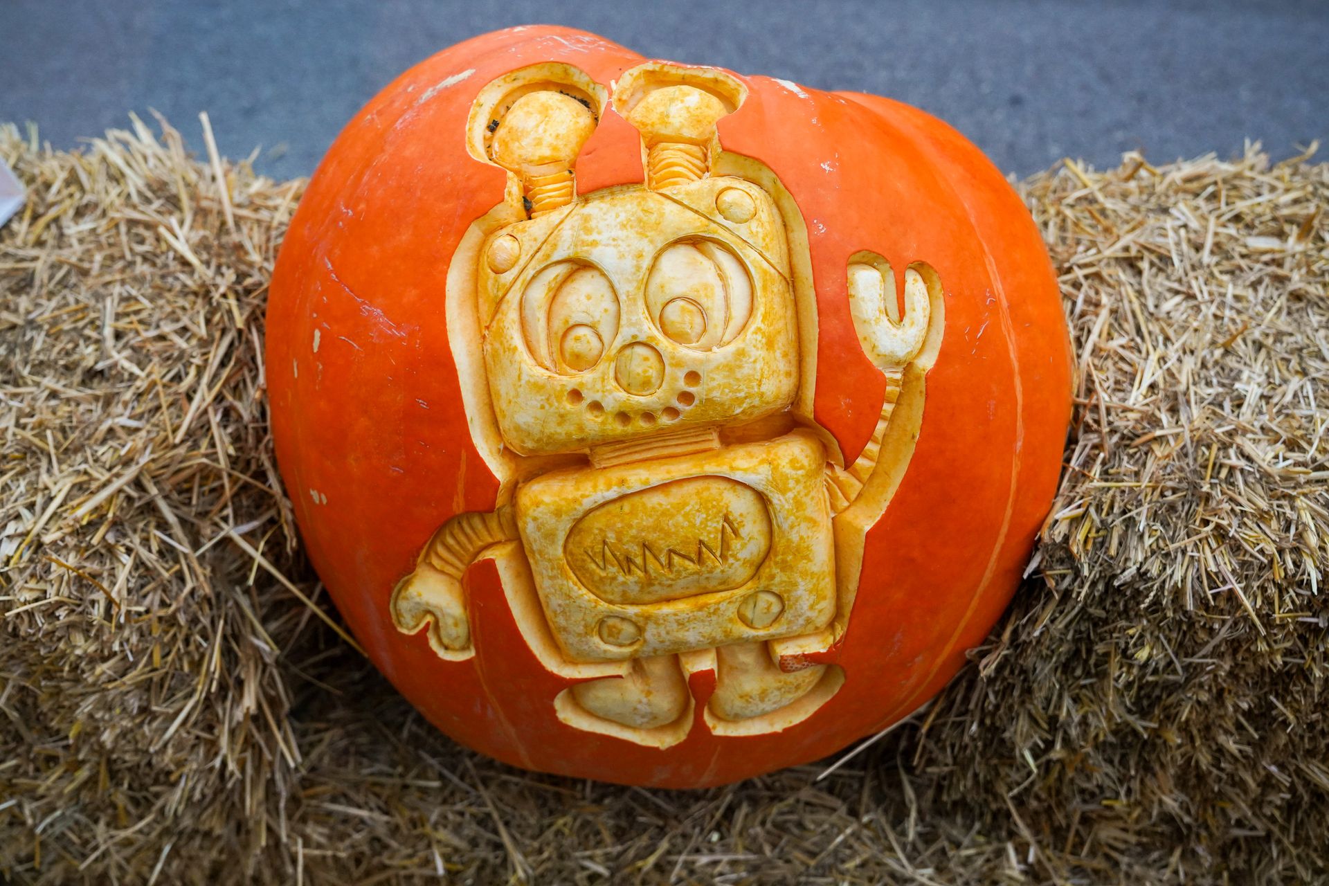 2023 Operation Pumpkin Photo Gallery | Hamilton, OH