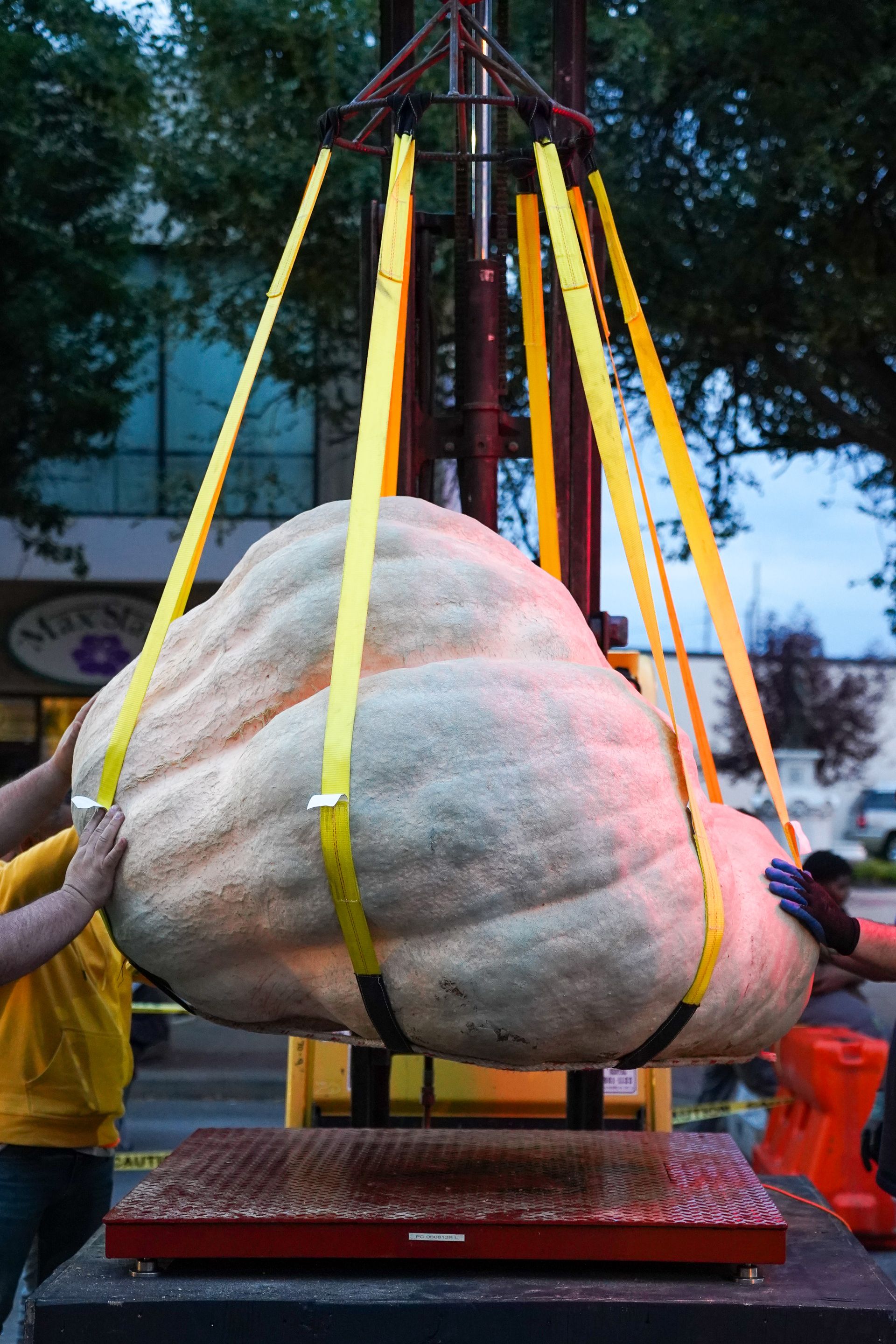 2023 Operation Pumpkin Photo Gallery | Hamilton, OH