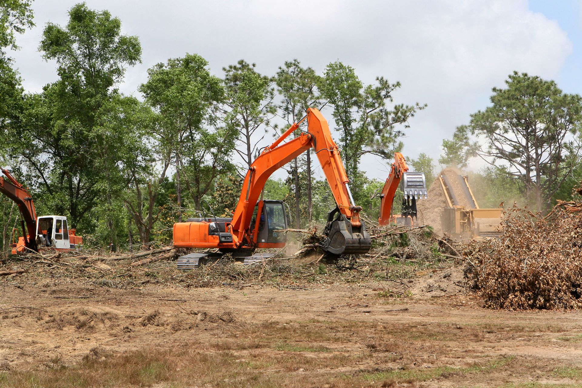 Tree Care & Removal Services | Barberton, OH