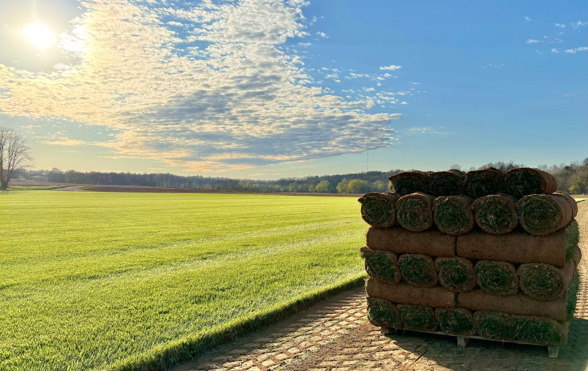 Iron Bridge Sod Farms | Sod Installation | Bowling Green, KY