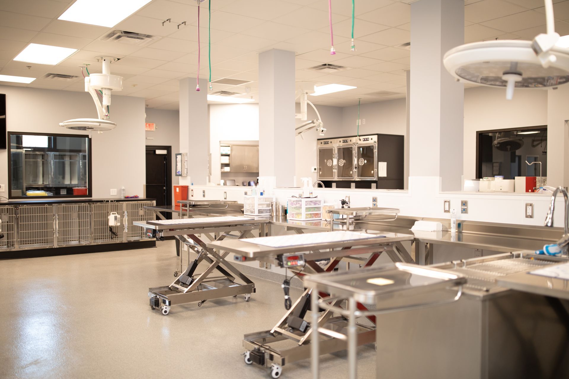 Pet Surgery | Emergency Veterinarian Bowling Green, KY