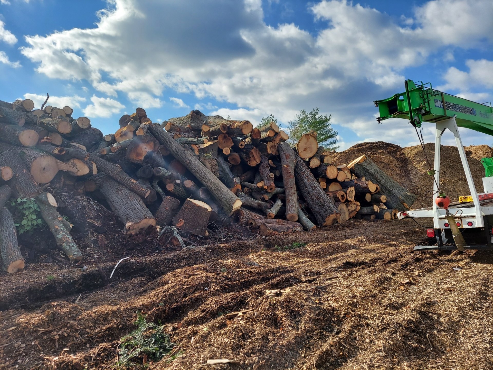 Seasoned Firewood Sales | Huntington Station, NY