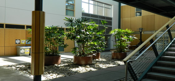 Services | Plantscape Design | Plantscape Installation | Portland, OR