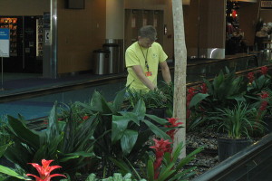 Services | Plantscape Design | Plantscape Installation | Portland, OR