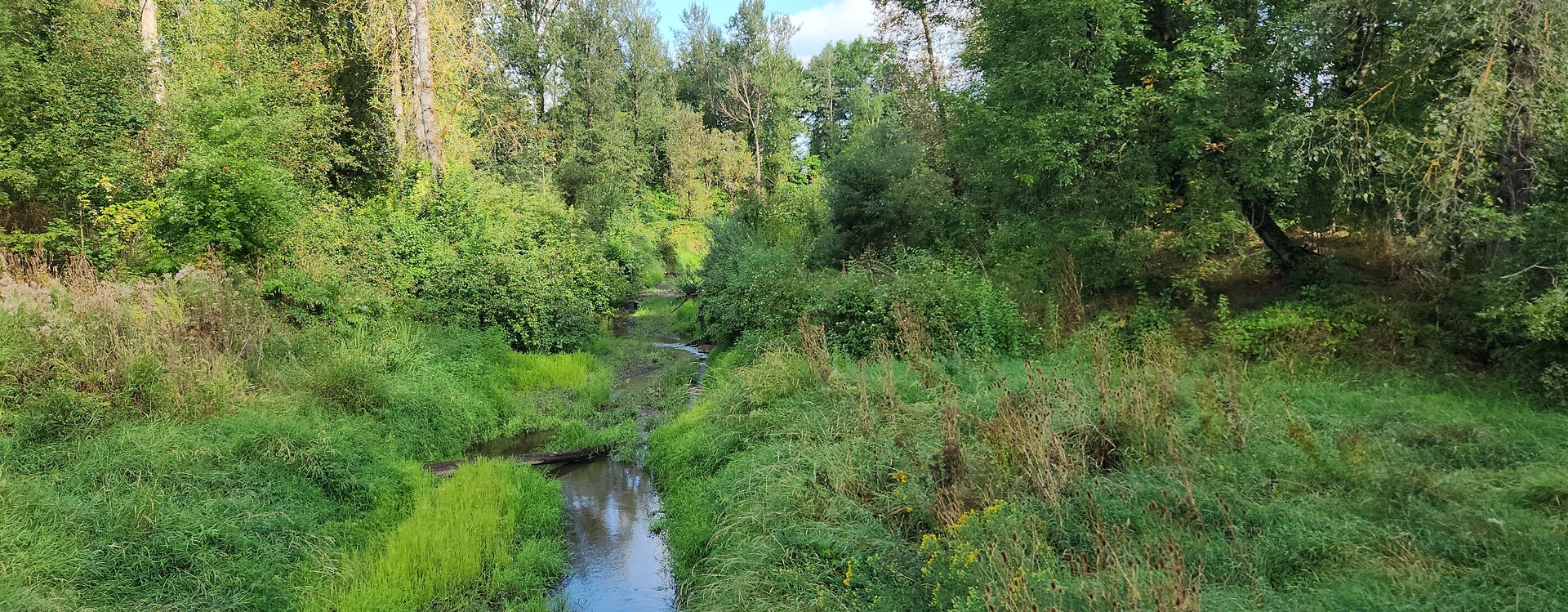 Sandy Riverfront RV Resort Gallery | Troutdale, OR