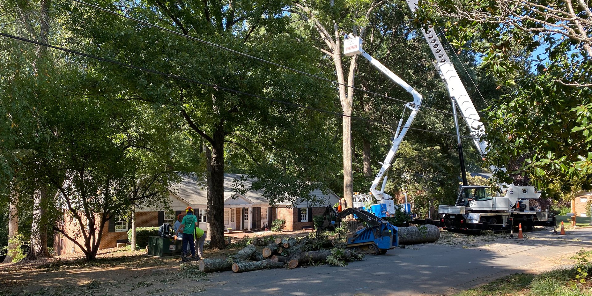 Tree Trimming Companies Winston Salem, NC