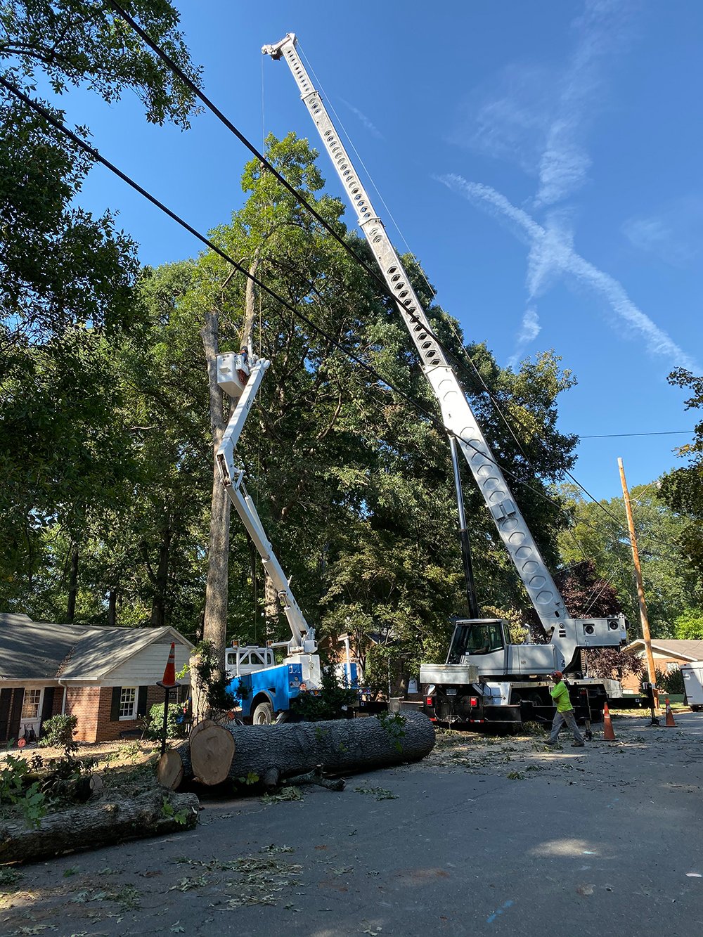 Tree Removal Services Winston Salem | Godspeed Tree Service