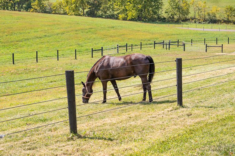 Fences & Gates | Doughty Fence Builders LLC | Central Ohio