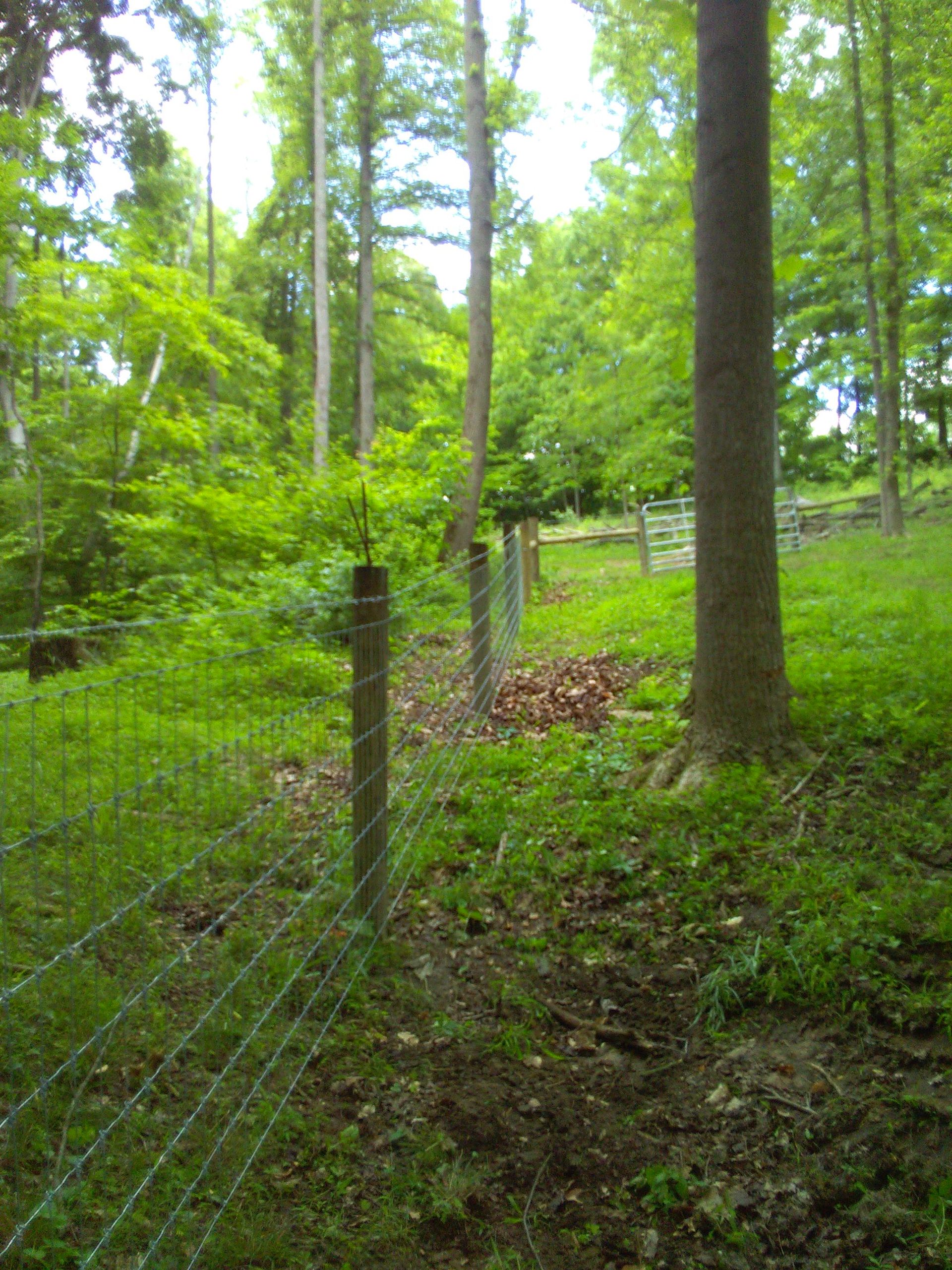 Woven Wire Fences | Central Ohio