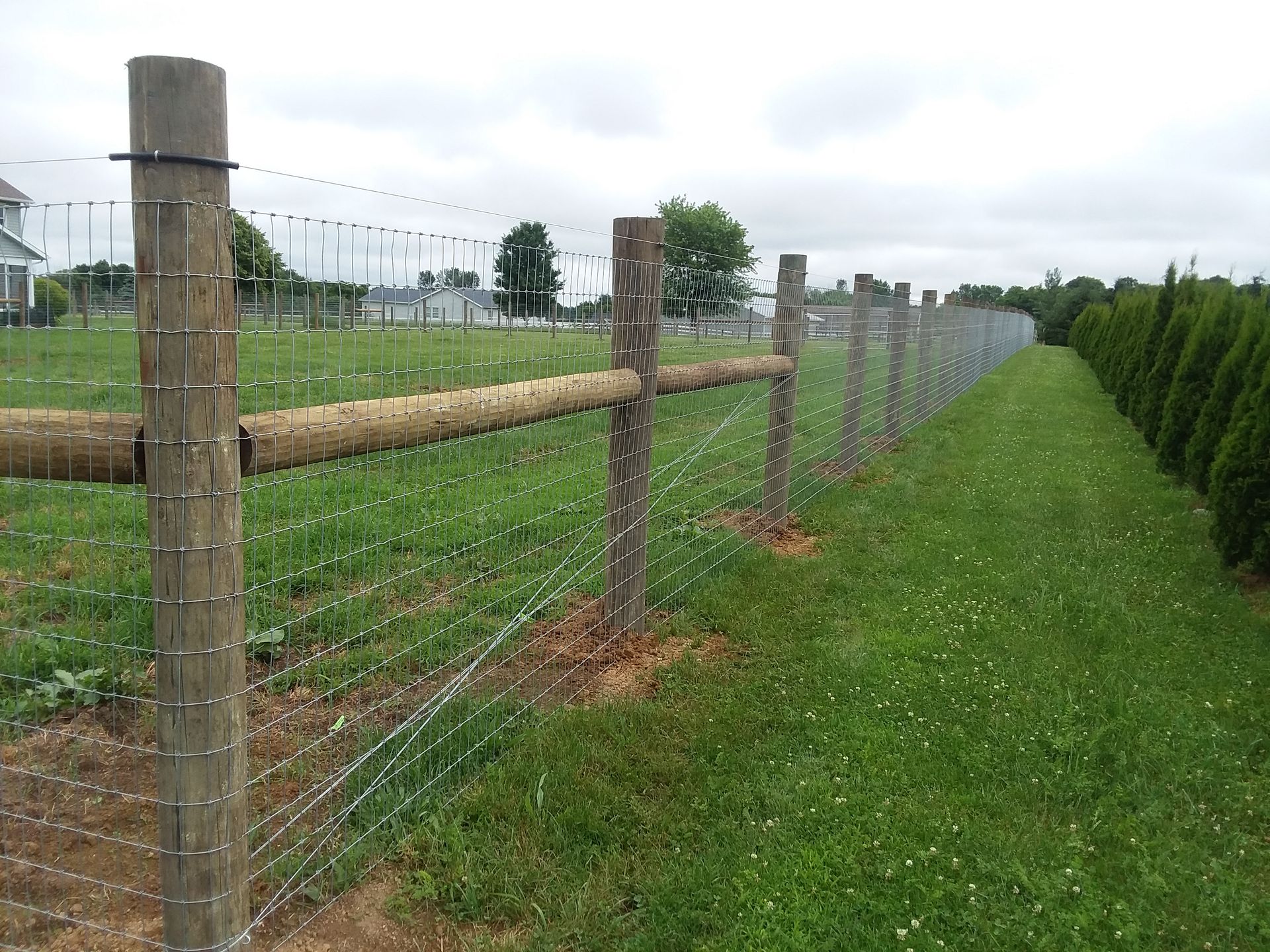 Woven Wire Fences | Central Ohio