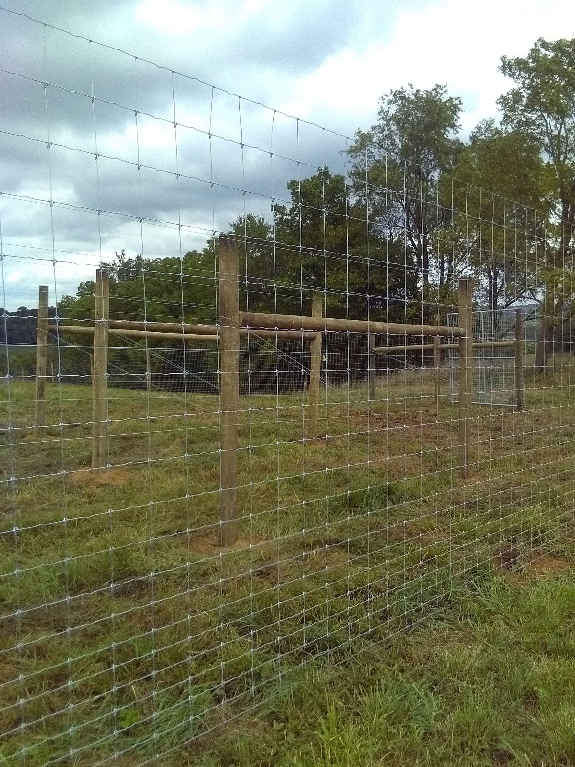 Woven Wire Fences | Central Ohio