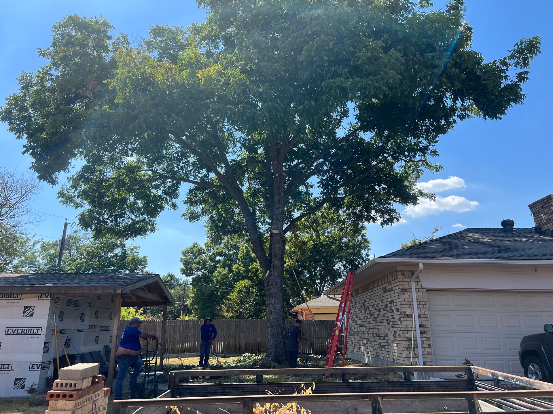 Aaron's Tree Service Gallery | Mesquite, TX