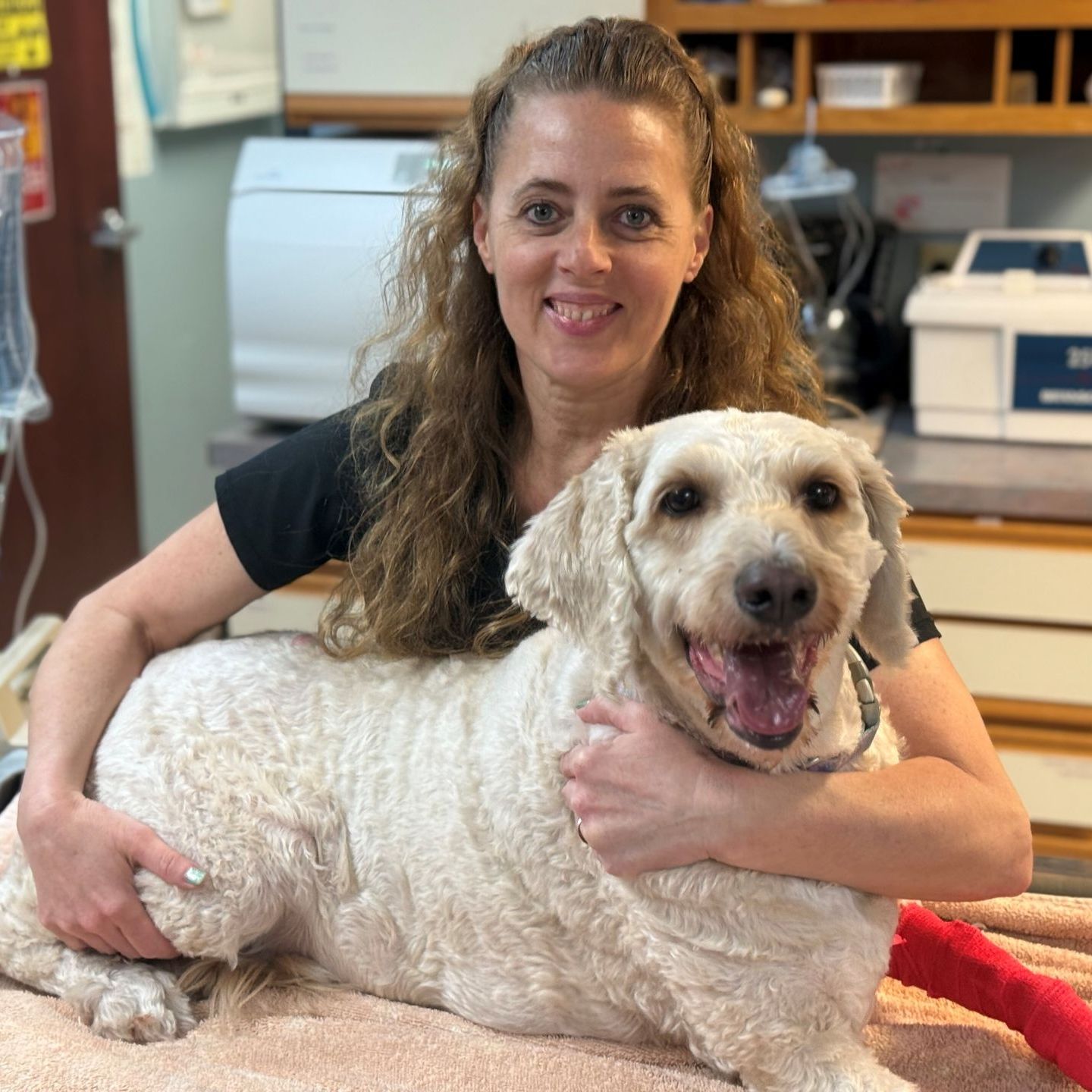 Meet the Staff | Hanover Veterinary Hospital