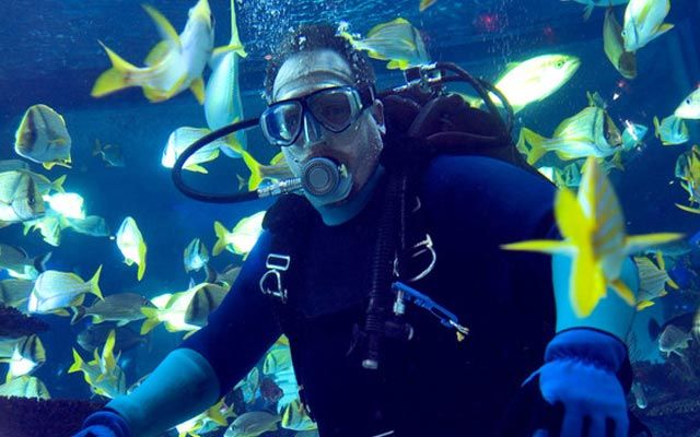 Diving Topic Links | Lake Superior Divers Supply and School