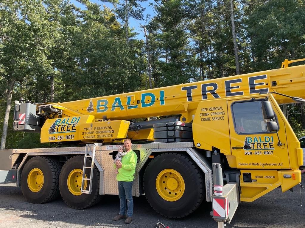 Project Gallery | Baldi Tree