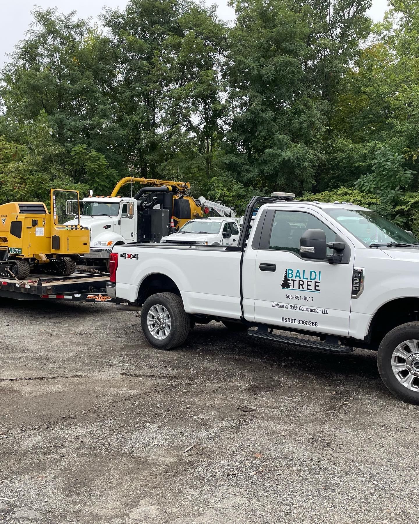 Project Gallery | Baldi Tree