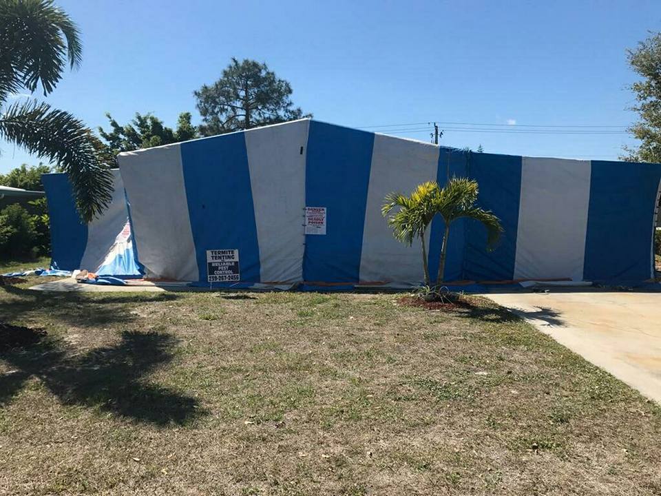 Tent Fumigation | Bed Bug Extermination | Fort Myers, FL