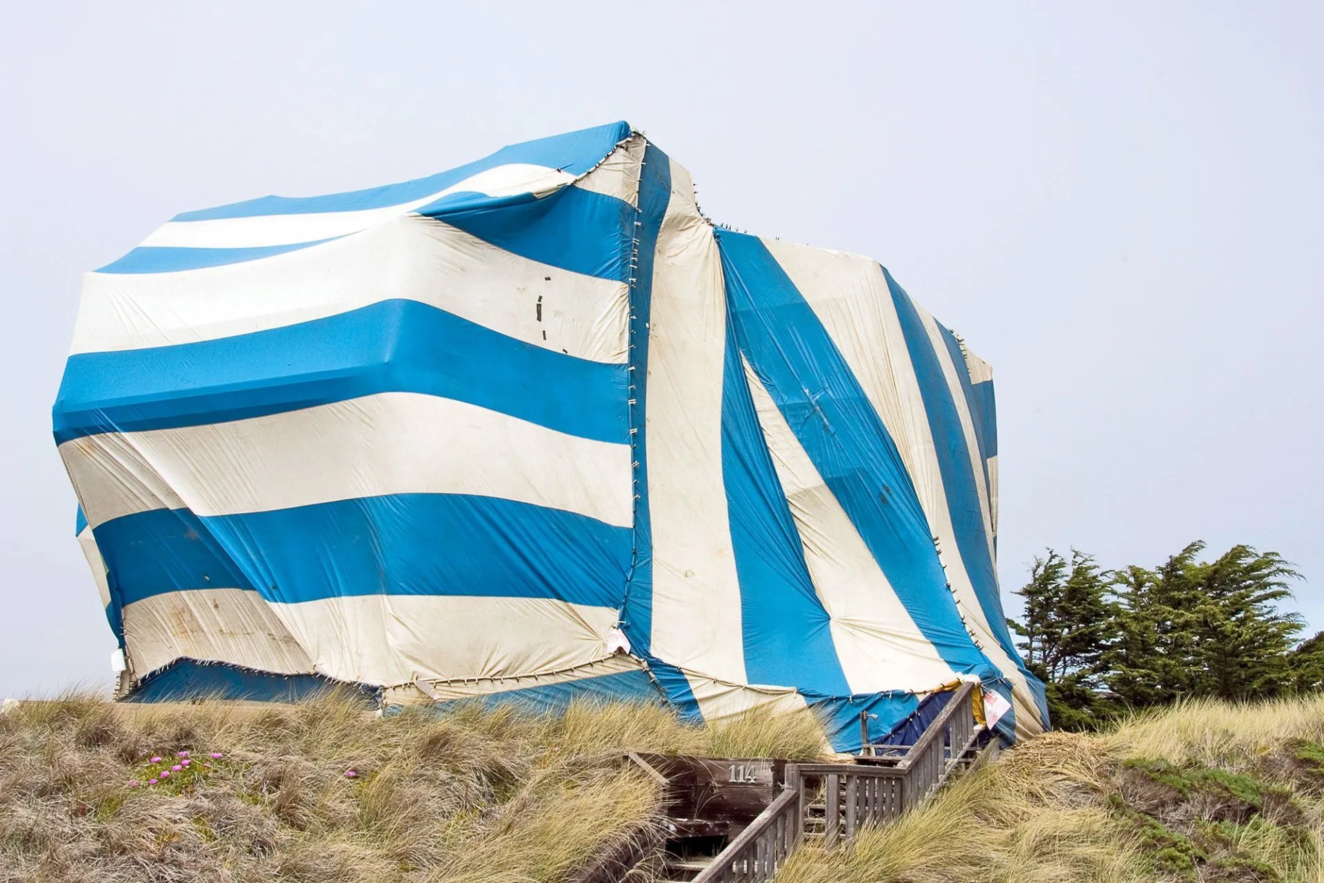 Tent Fumigation | Bed Bug Extermination | Fort Myers, FL