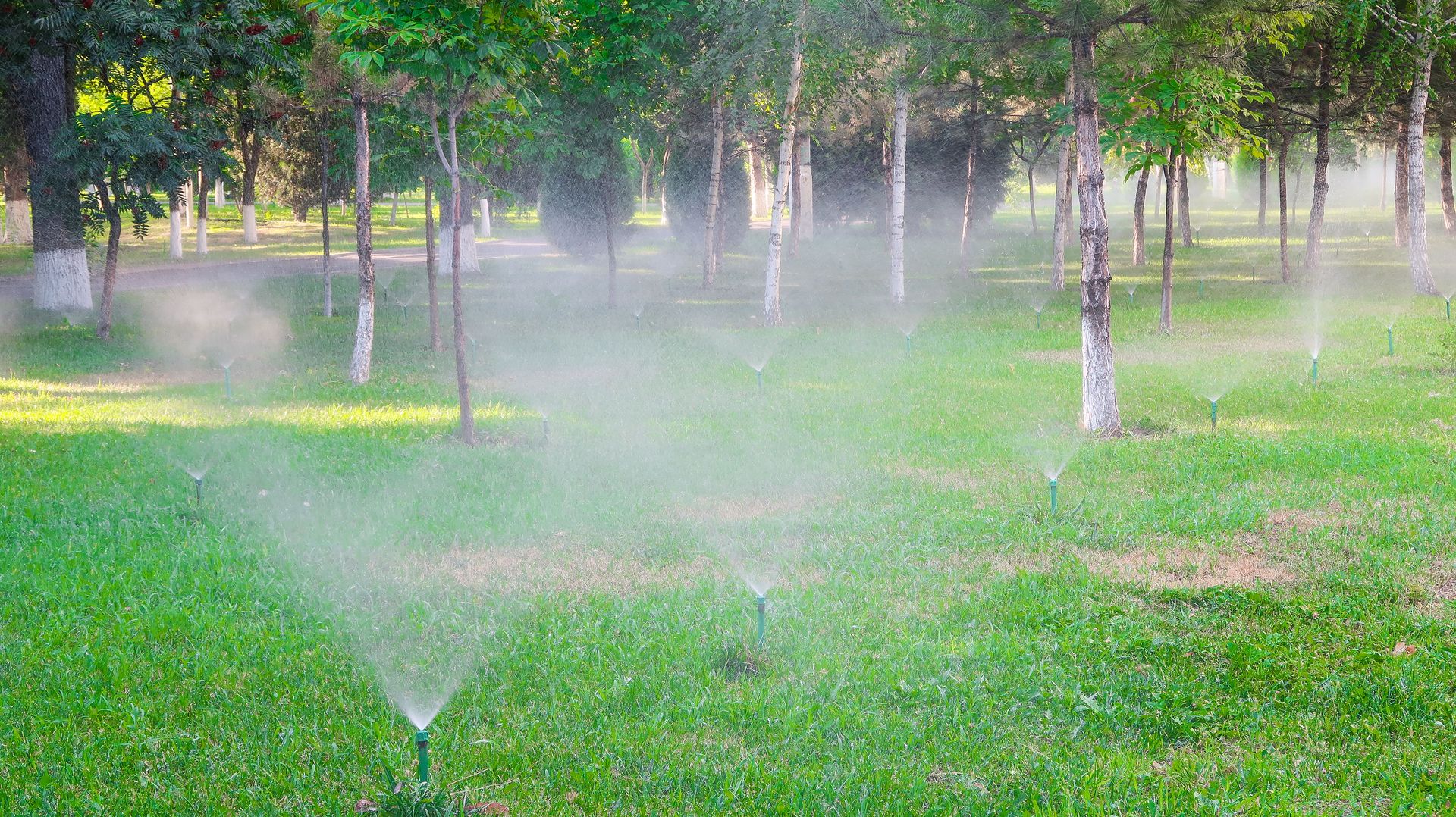 Irrigation Contractor | Michael's Irrigation | Street, MD