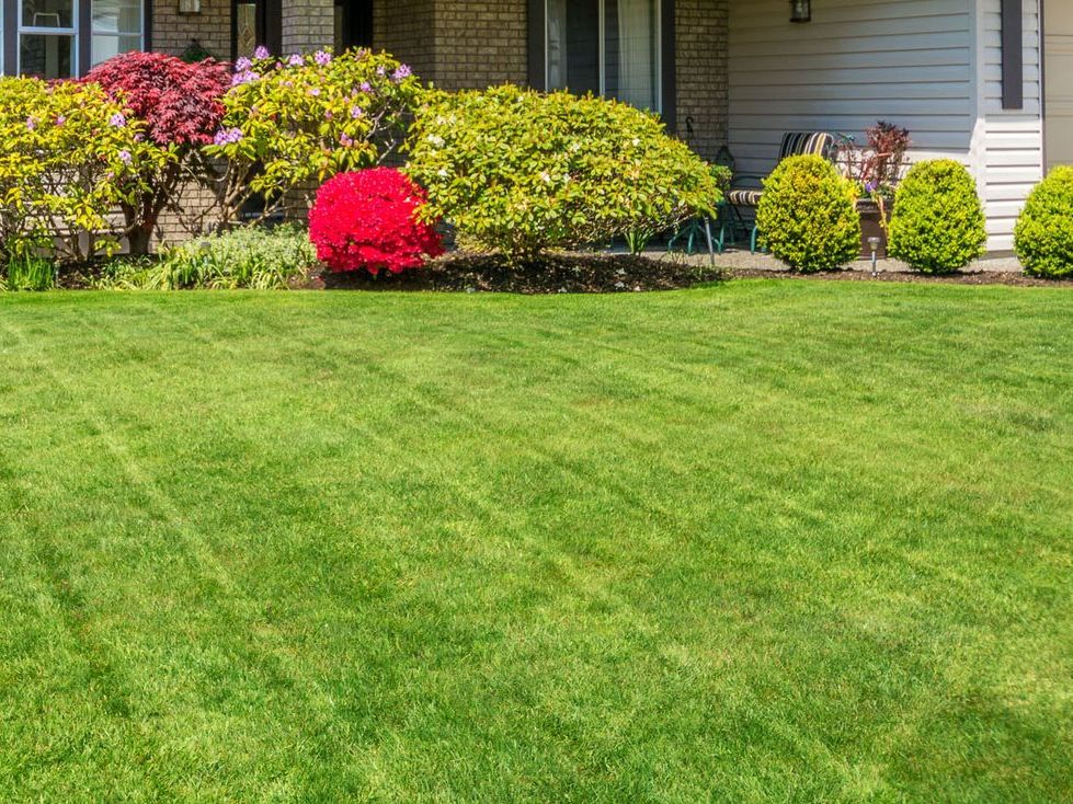 ProGreen Outdoor Solutions | Lawn Maintenance | North Atlanta