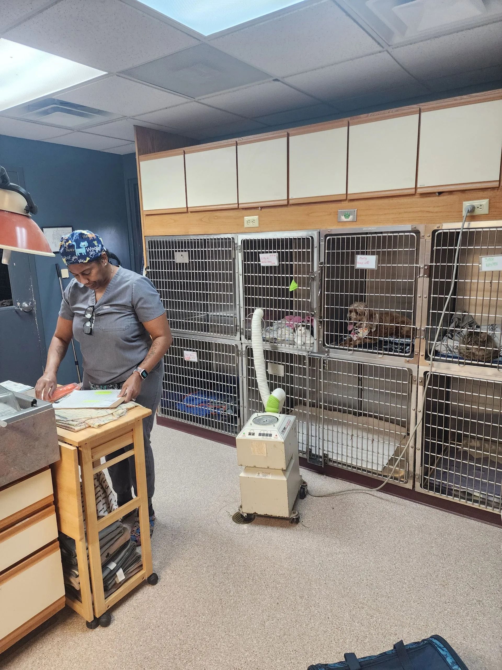 Veterinary Gallery | Hanover Veterinary Hospital | Cedar Lake