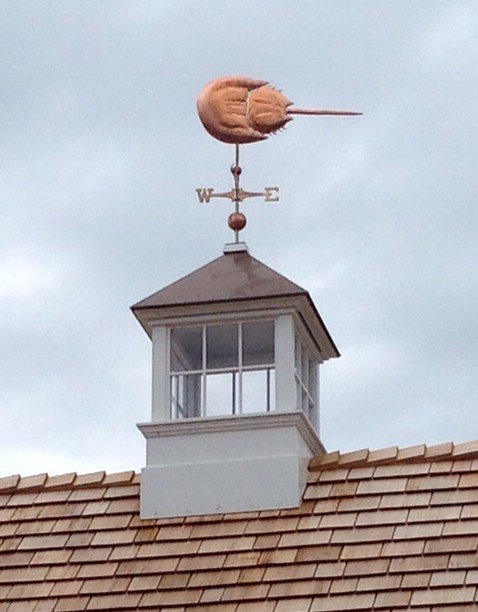 Photo Gallery | Cape Cod Cupola LTD