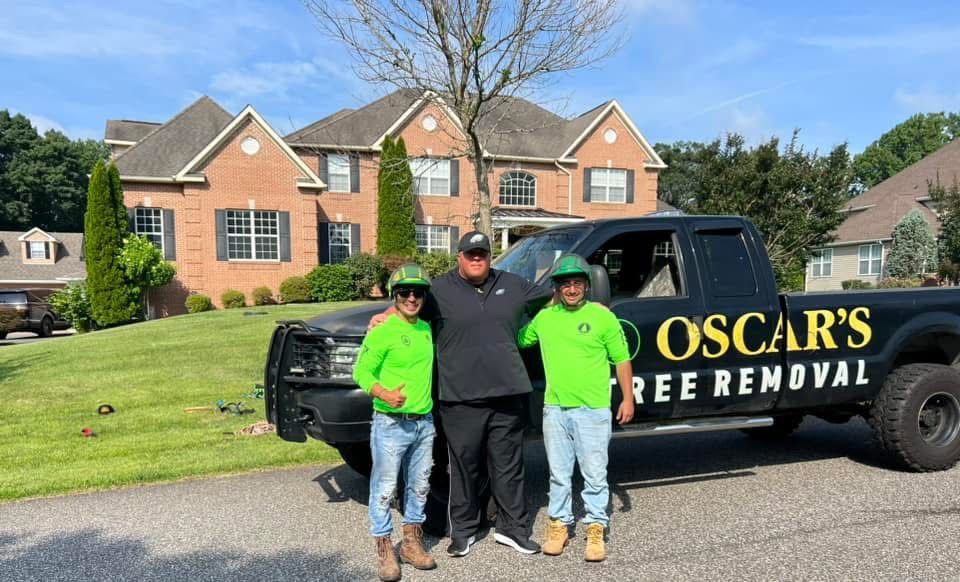 Oscars Tree Removal & Stone Veneer | Tree Service | Sellersville, PA